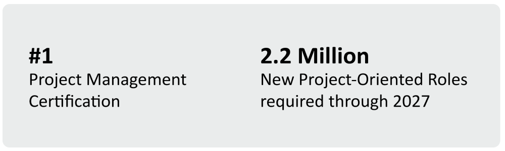 PMP Project Management Certification Training Course Online